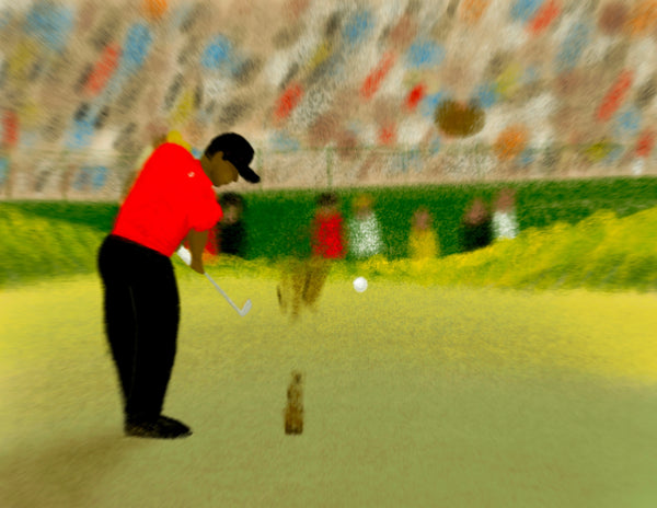 Tiger 06 Open Championship at Royal Liverpool Golf Print - Reinland ...
